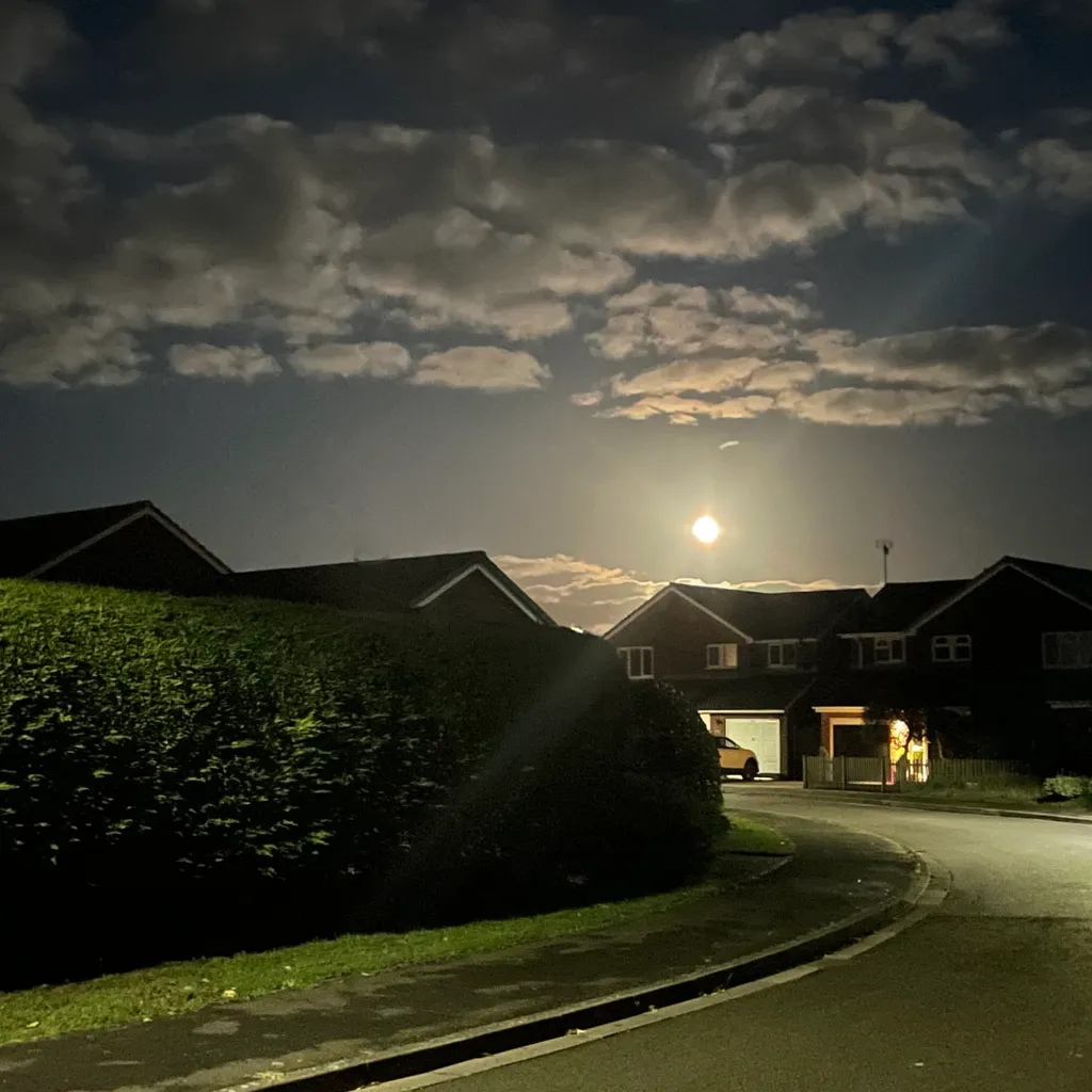 finley's stats, streams and more | stats.fm