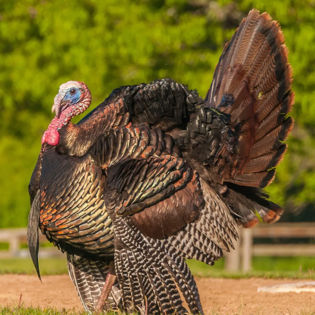 eelis' stats, streams and more | stats.fm